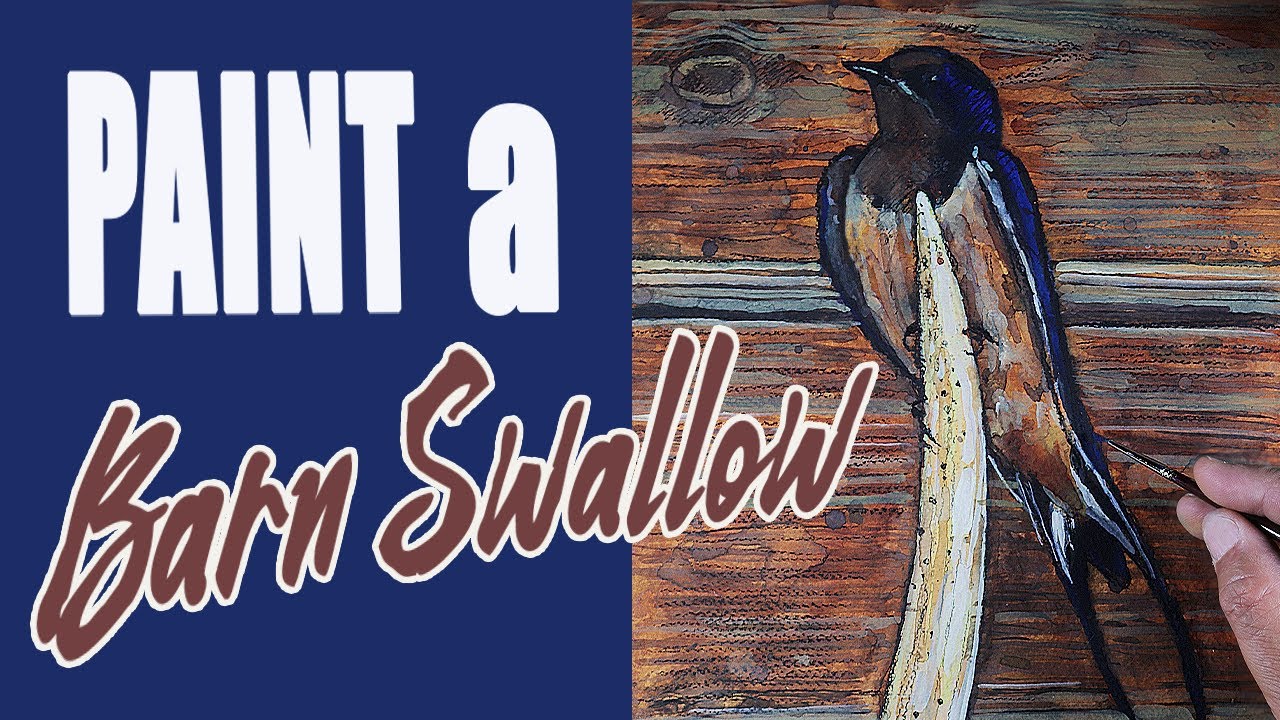 Saddle Up and Draw | Paint a Barn Swallow - YouTube
