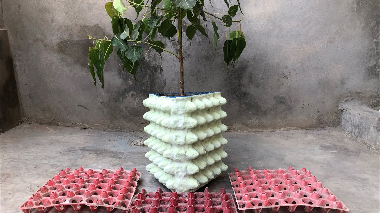 Amazing egg tray ideas | unique egg tray flower pot ideas | Diy cement ...