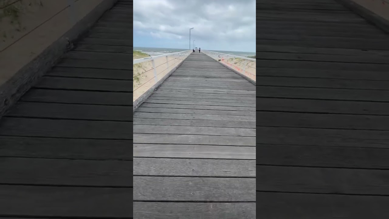 # paradise - YouTube