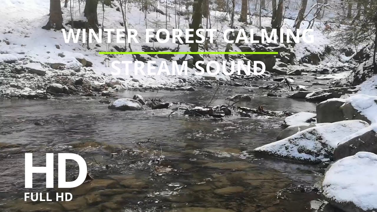 Winter Forest Calming Stream Sound - 2 Hours Ambience and Relaxation ...