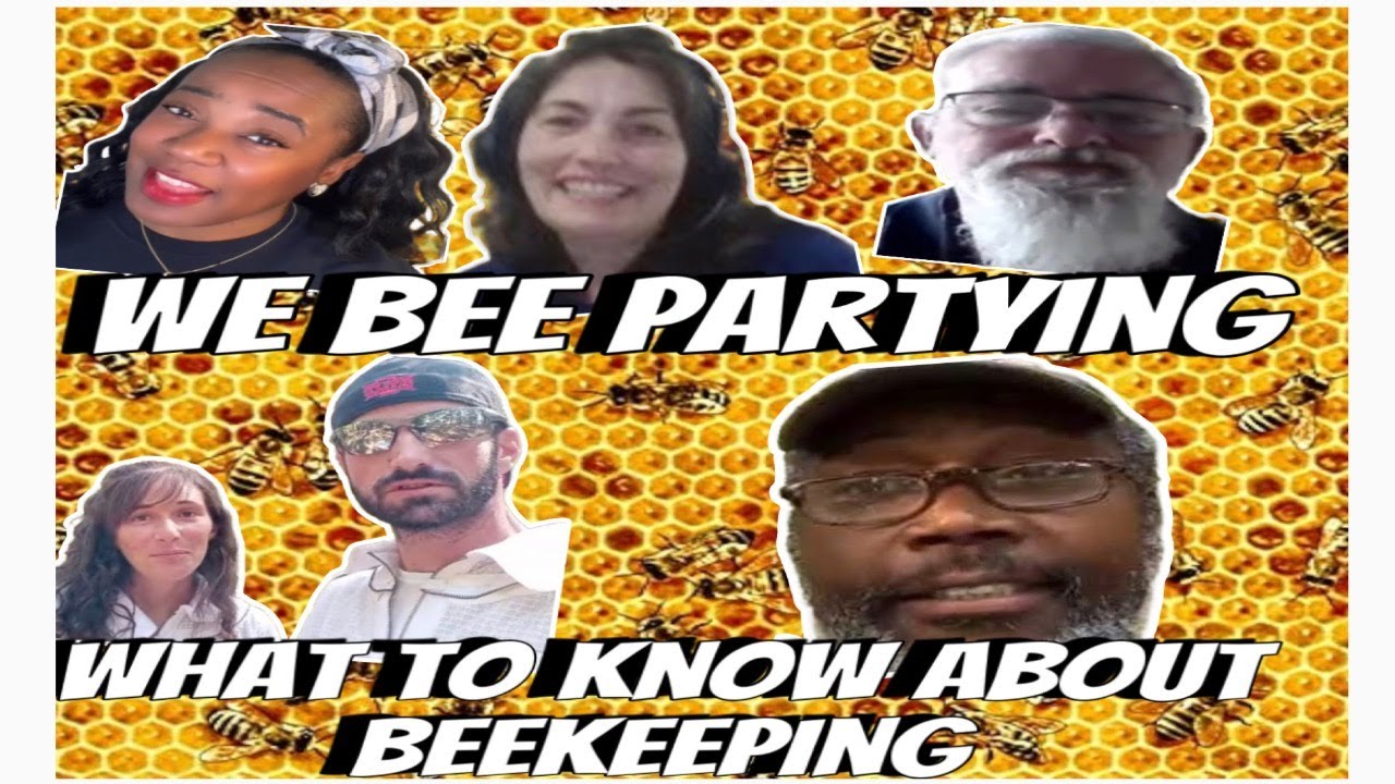 WE BEE PARTYING - YouTube