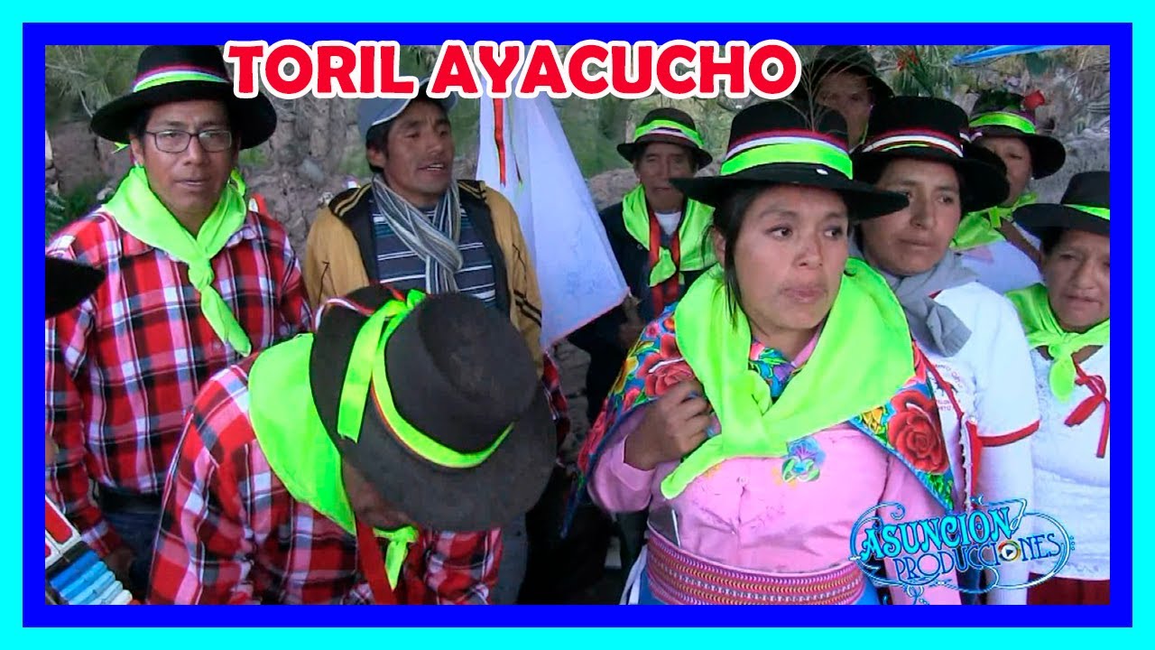 RICO TORIL DE LOS ANDES AYACUCHO PERU 2019 ♫♪♫ - YouTube