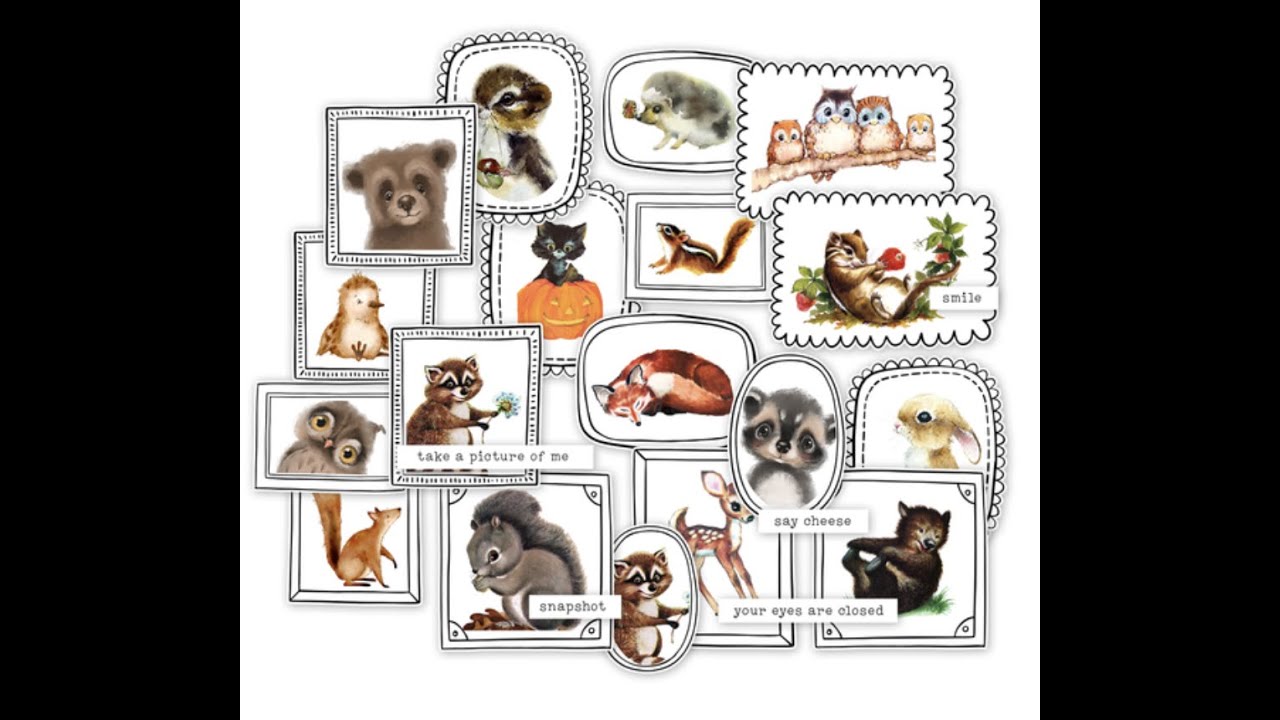 Ginger Snap Collection | Animal Portraits die cut pack - YouTube