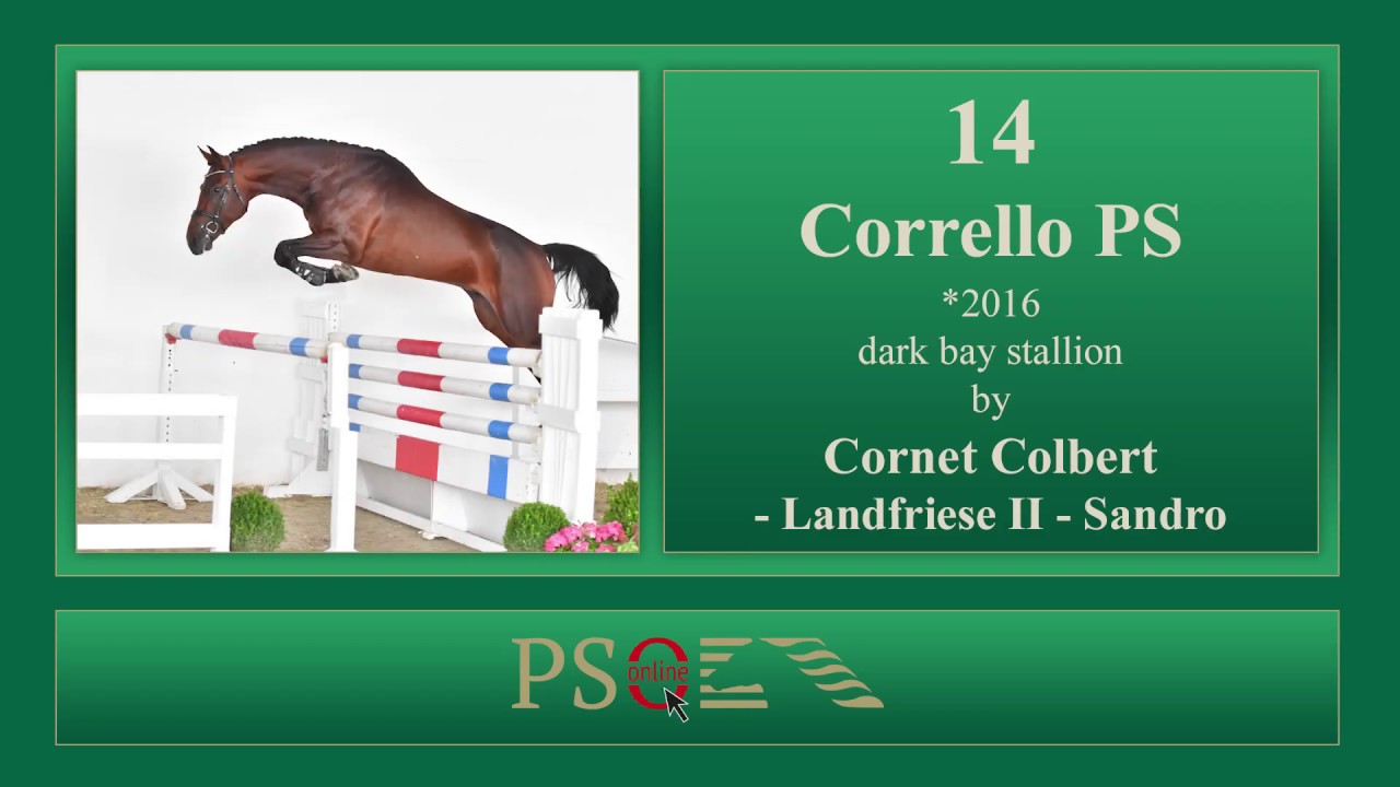 14 Corrello PS - YouTube