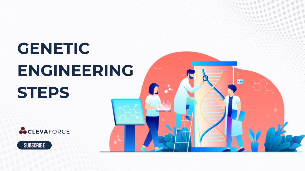 Gene Engineering Steps - YouTube