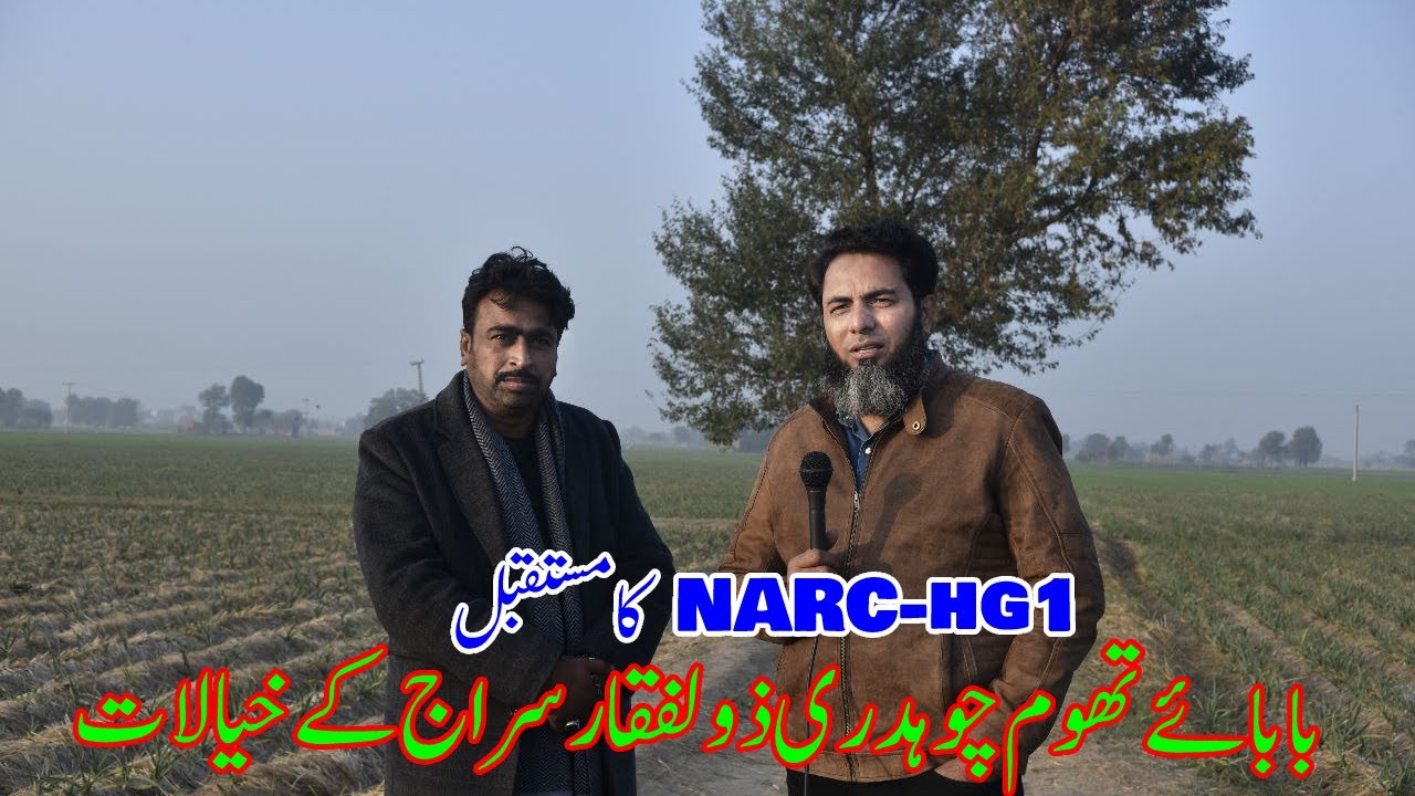 A #Bright #Future of #NARC HG1 #Garlic - YouTube