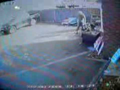 Tripping Over Dog - YouTube