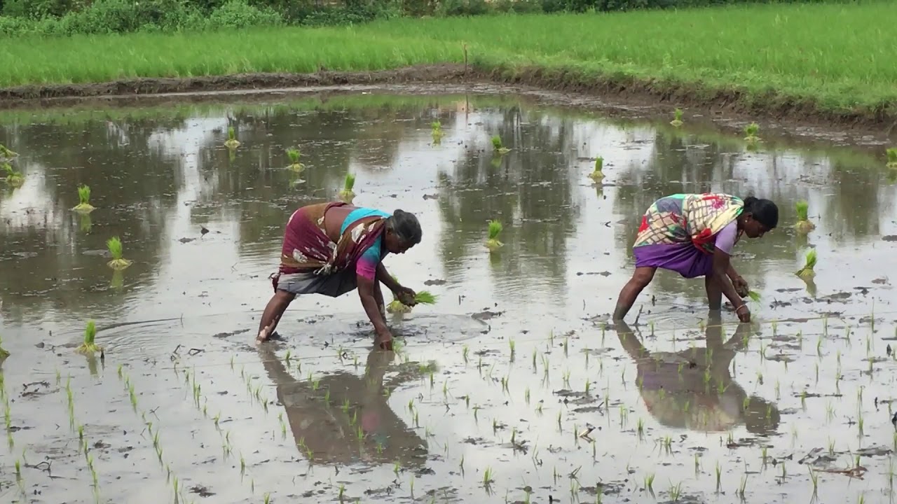 Evolution of Ooruni since Jan 2018 - YouTube