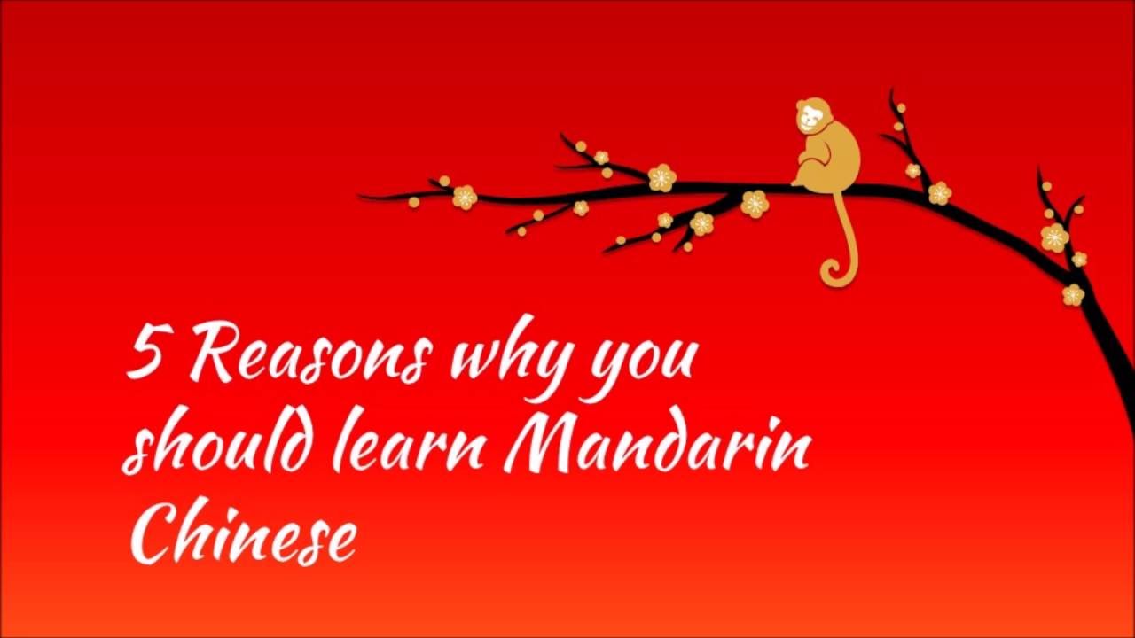 5 Reasons Why You Should Learn Mandarin Chinese - YouTube