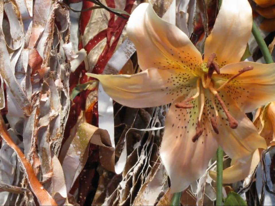 'Slash: Paper Under the Knife' overview with Chief Curator David ...