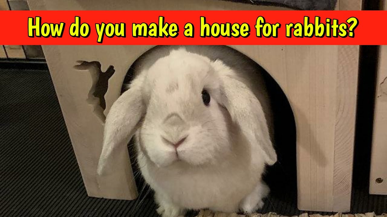 How to make a rabbit house | Learn about the types of rabbit housing ...
