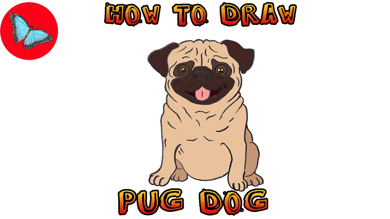 How To Draw Pug Dog | Drawing Animals - YouTube