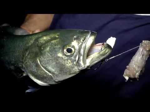 Colmic  - Serra a surfcasting