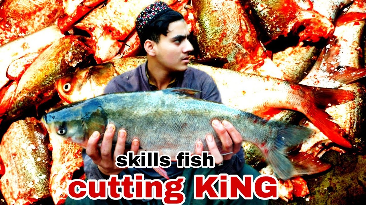 FISH CUTTING SKILLS | CUTTING STYLE | FISH CUTTING | CUTTING MASTER # ...