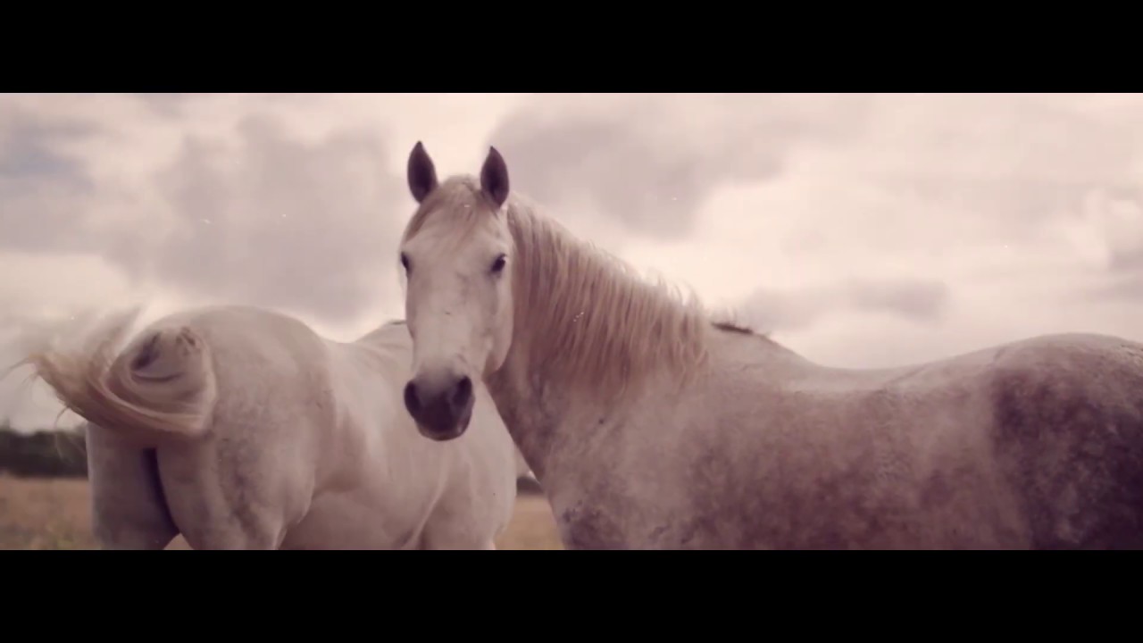 Thomas Teske - Keiner ist wie du - YouTube