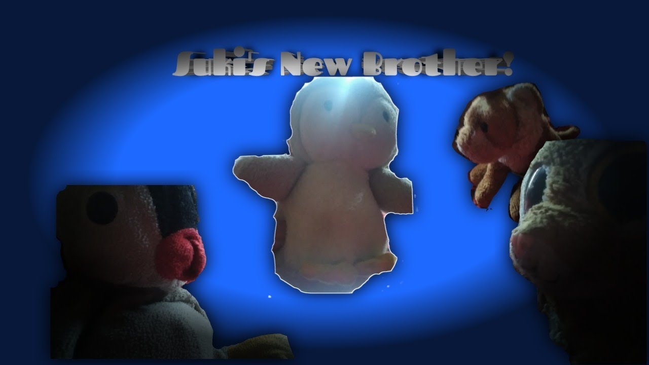 Suki's New Brother! - YouTube
