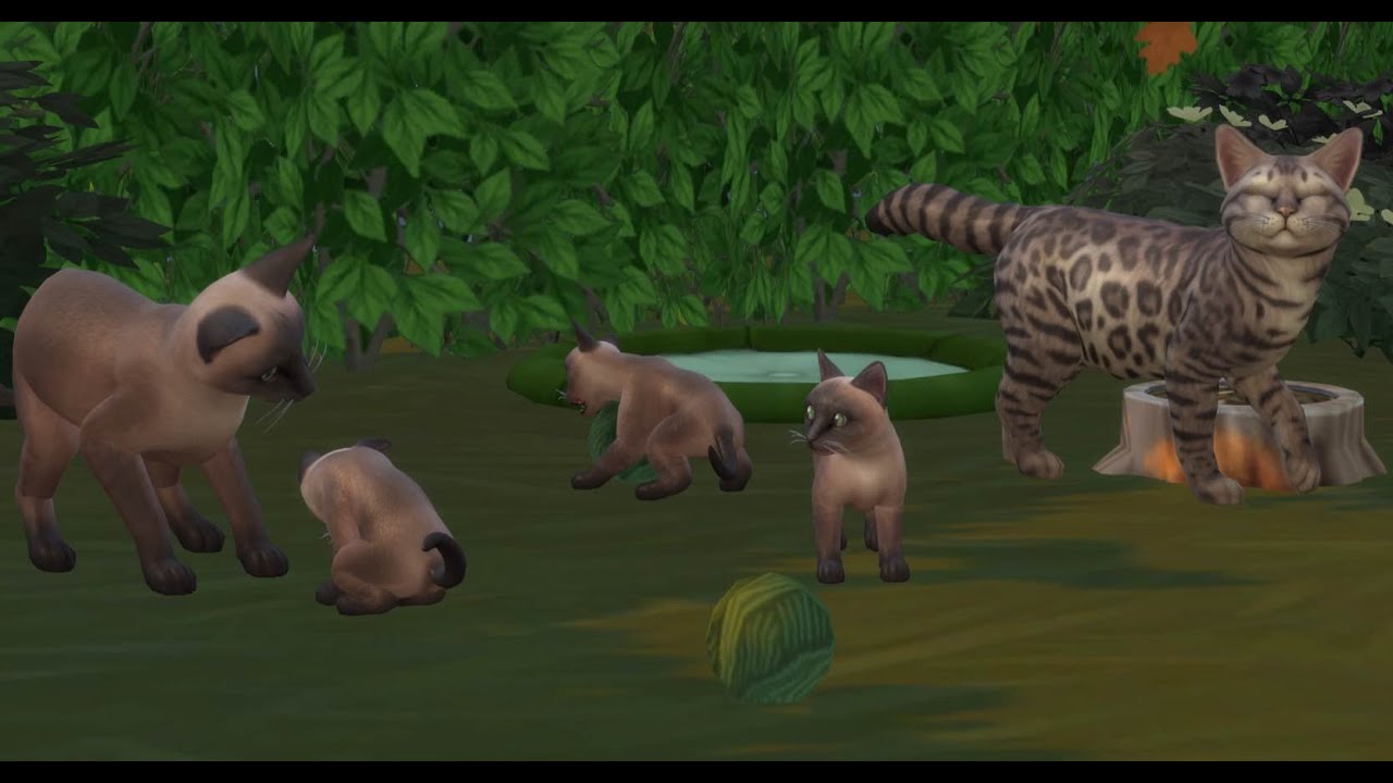 Triplets! | Warrior Cats Sims 4 Legacy | ep15 - YouTube