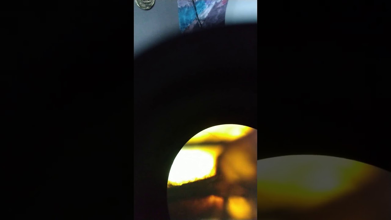 dragon fly wing under microscope - YouTube