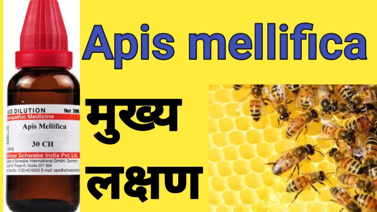 Apis mellifica 30,200,q homeopathic medicine uses in hindi - YouTube