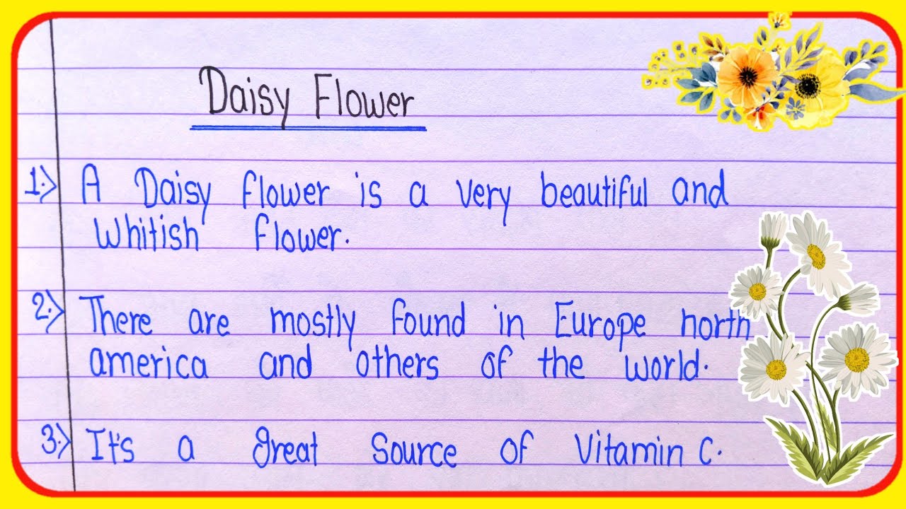 5 lines On Daisy flower in English || Some lines about Daisy flower ...