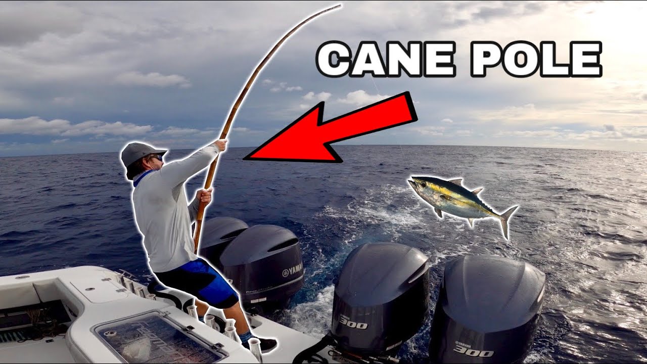 CANE POLE TUNA FISHING! Catch Clean and Cook! Islamorada Style - YouTube