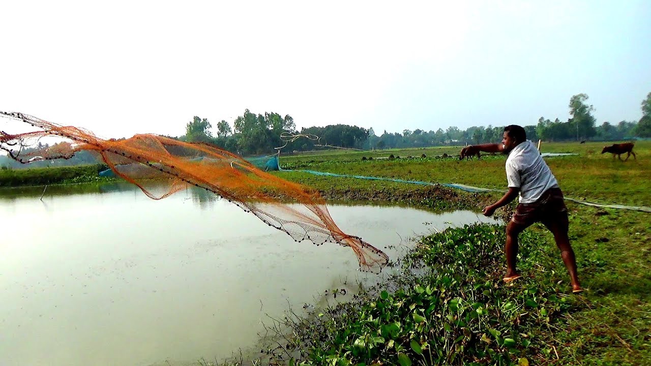 Cast Net fishing।Traditional Cast Net Fishing in River। Fishing with a ...