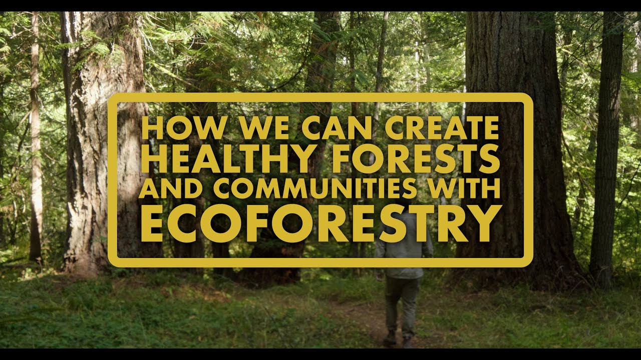 Wildwood - How we can create Healthy Forests and Communities with ...