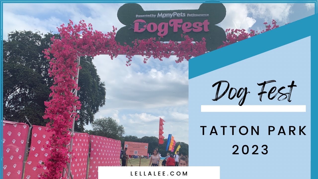 Dog Fest Tatton Park 2023 - YouTube