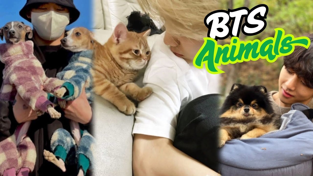 Bangtan Seonyeondan BTS with Animals 💗 BTS animal compilation - YouTube