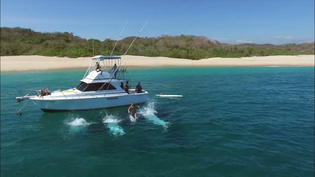 Huatulco whale watching by ISURFMEX - YouTube
