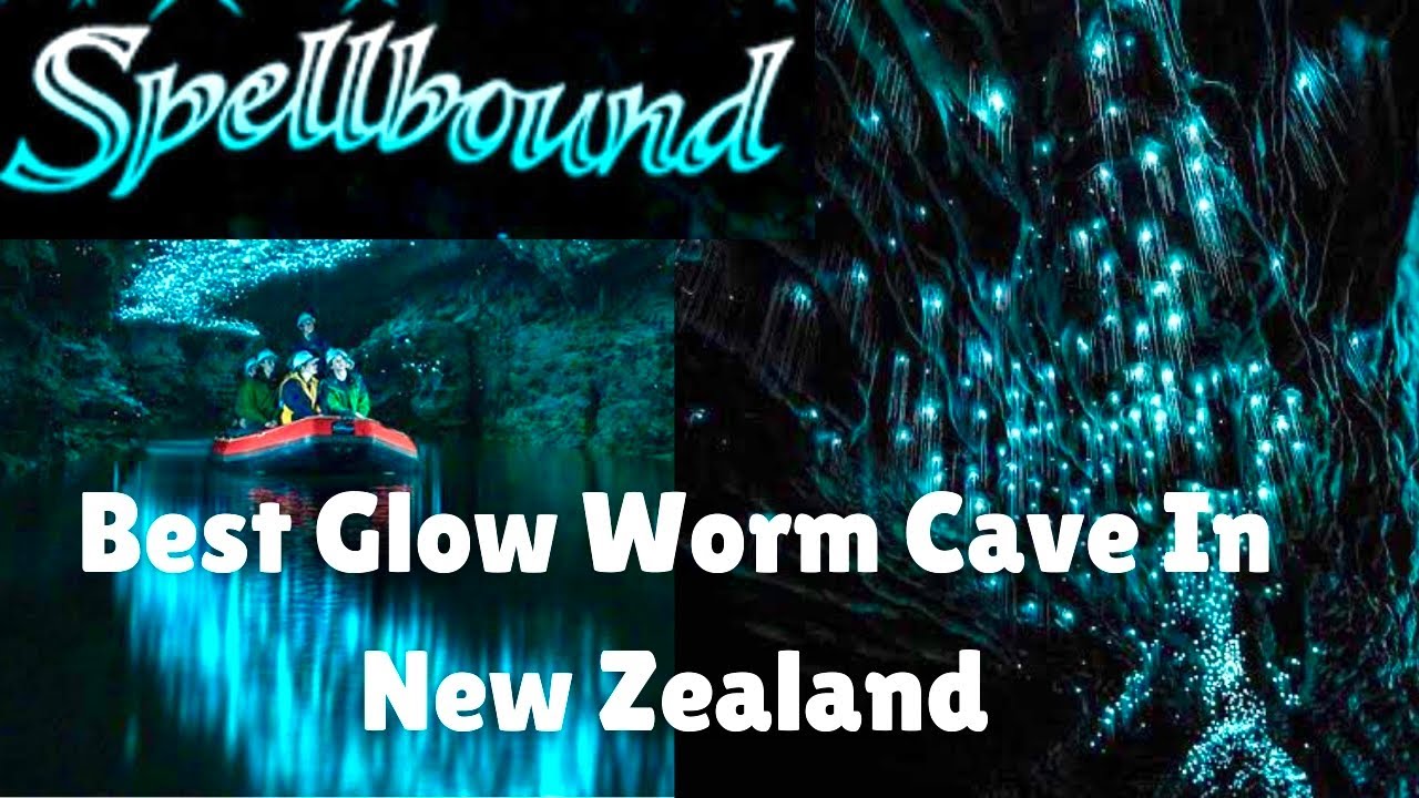 Journey into Darkness: Exploring the Spellbound Glow Worm & Spirit Cave ...