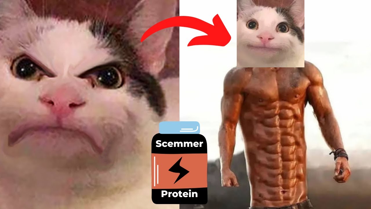 If Beluga Gets Strong To Impress Skittle-Chan - YouTube