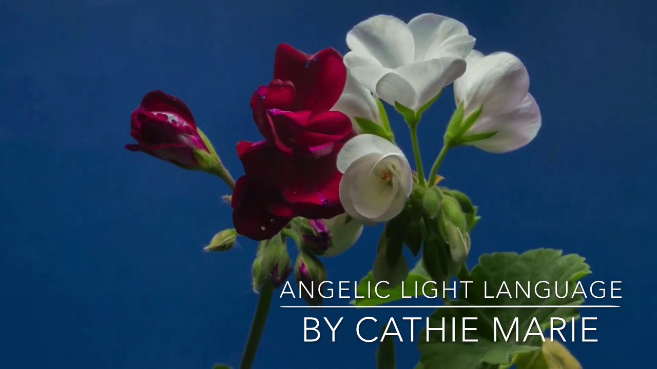 Angelic Light Language ~ Sacred Scripture 79, a message from the ...