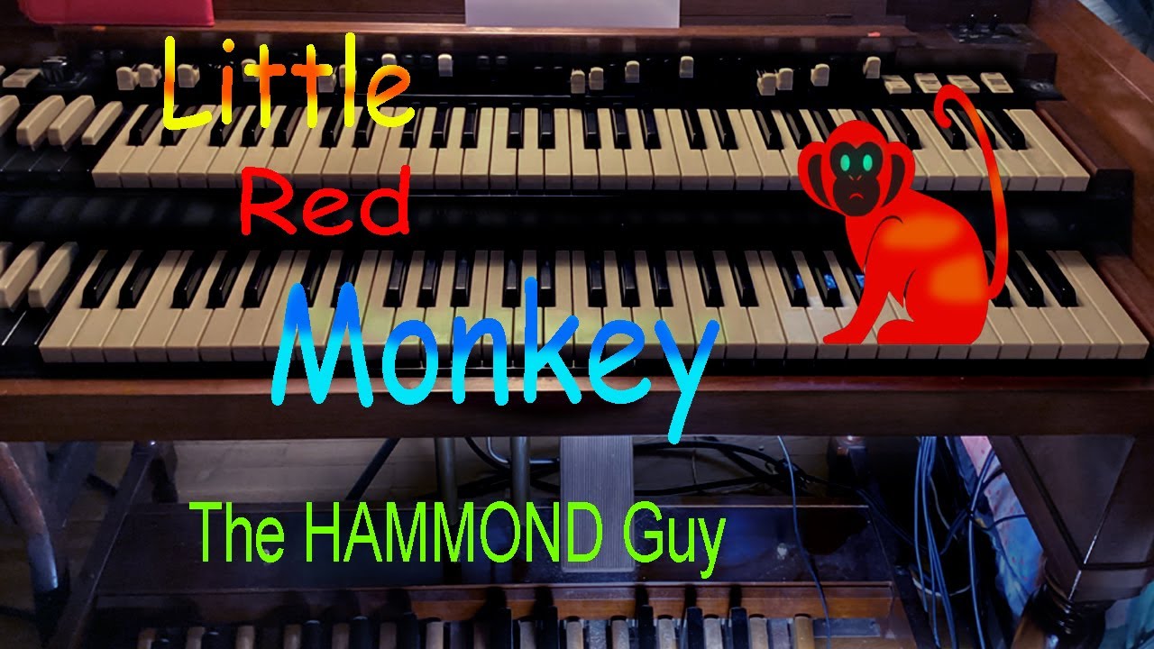 Little Red Monkey HammondB3 - YouTube
