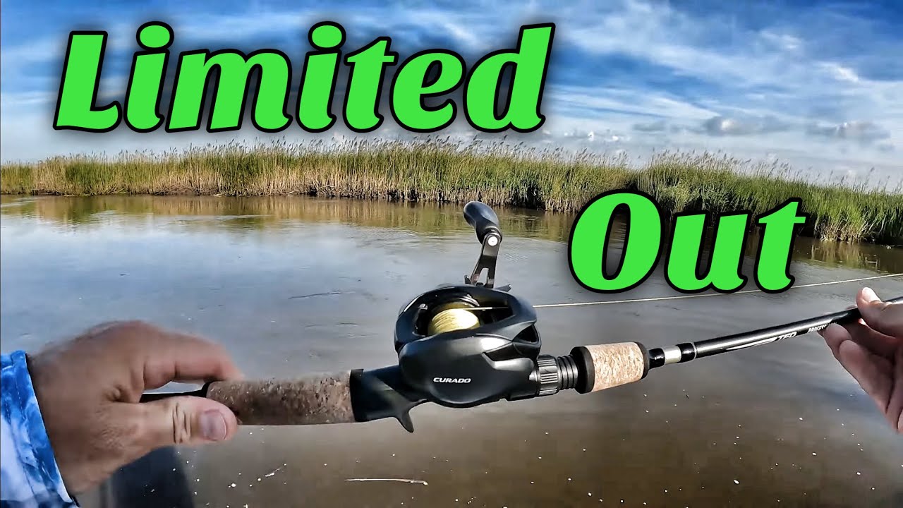 We caught a LIMIT.... and then did it again..... inshore fishing - YouTube