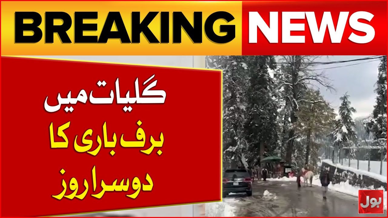 Second Day of Heavy Snowfall in Galiyat | Winter Weather Update ...