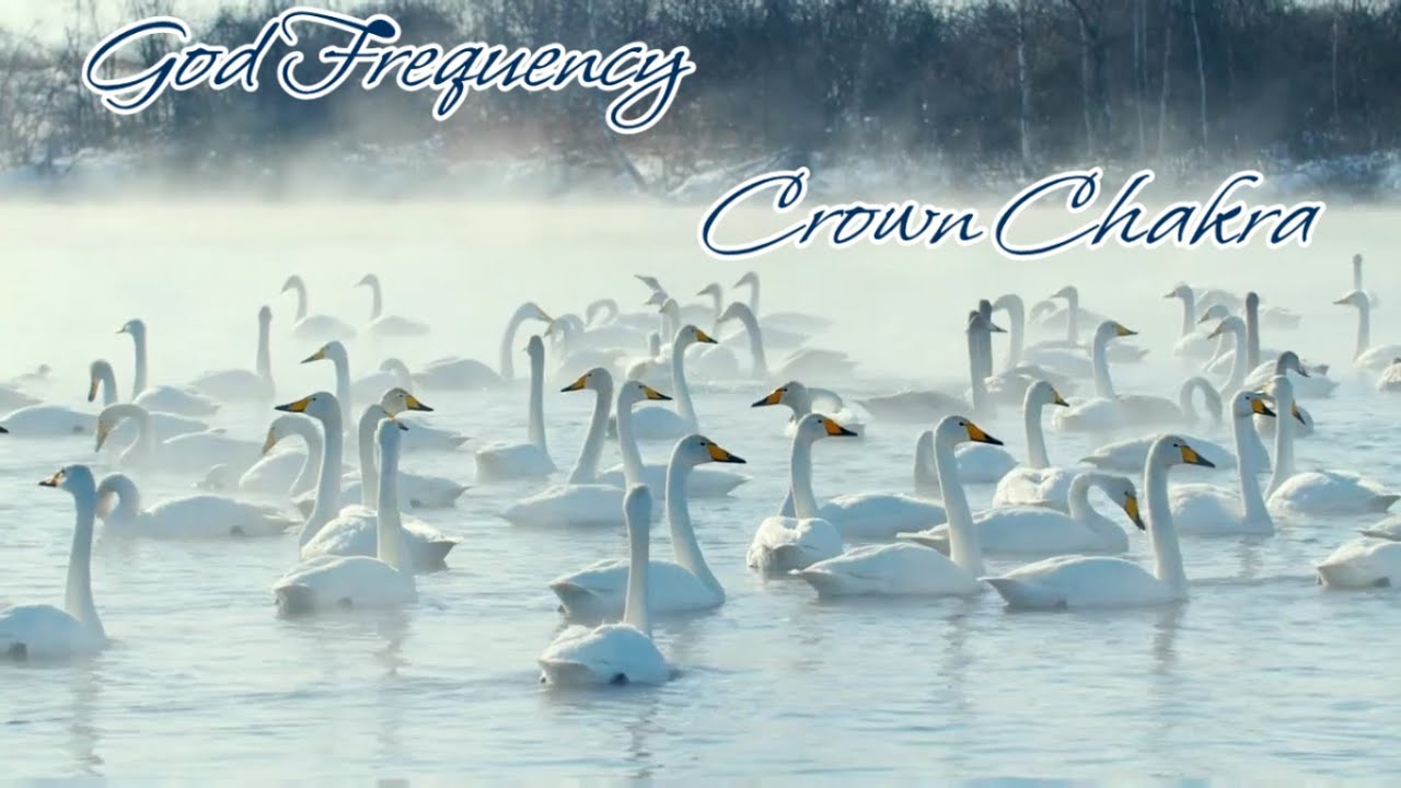 963 Hz God Frequency Crown Chakra Meditation Music ~ Increase ...