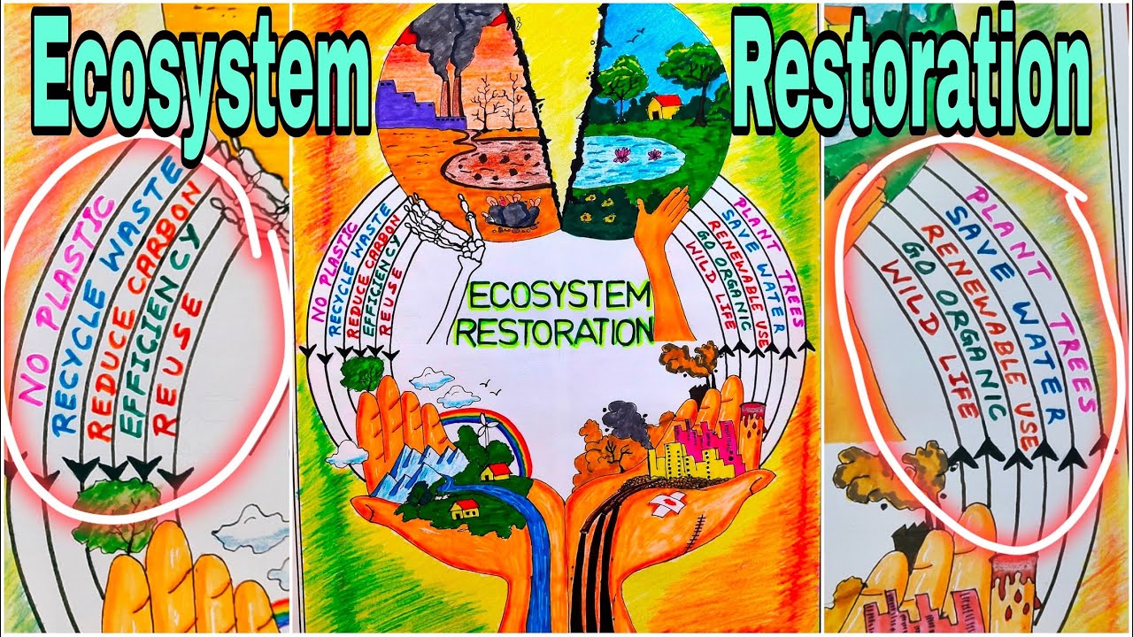 Environment Day poster | Ecosystem Restoration | drawing for ...