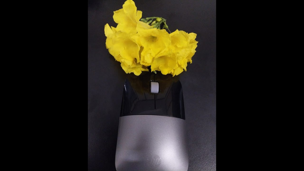 Kamli Song from Dhoom 3 - YouTube