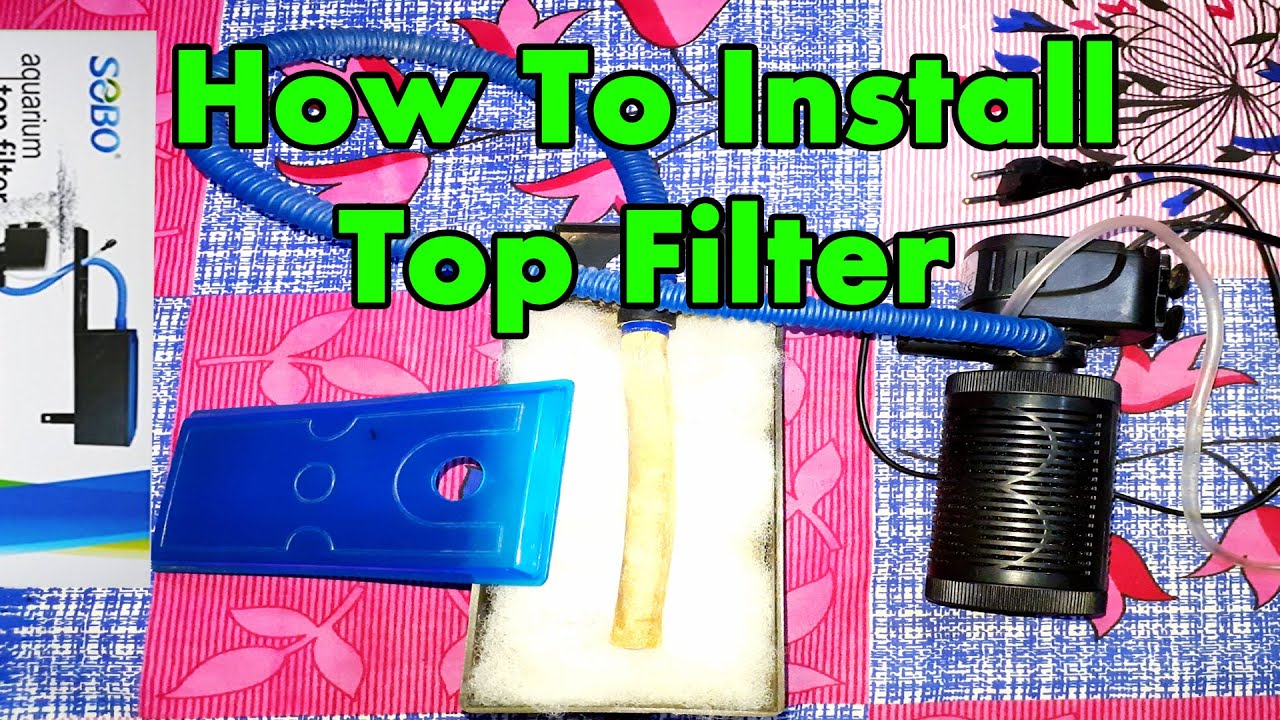 How To Setup Top Filter In Aquarium | Top filter Unboxing | aquarium ...