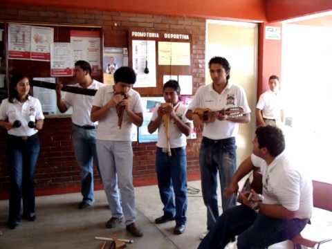 Cerro Azul, Ver "Leño Verde" CBTis # 30 - YouTube