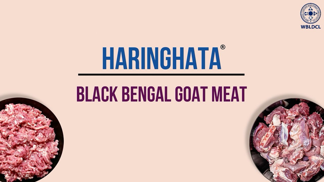 Haringhata Black Bengal Goat Meat - YouTube