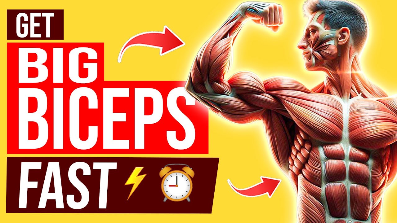 The 3 Best Exercises To Build Massive Biceps (LOAD THEM GUNZZZ ...