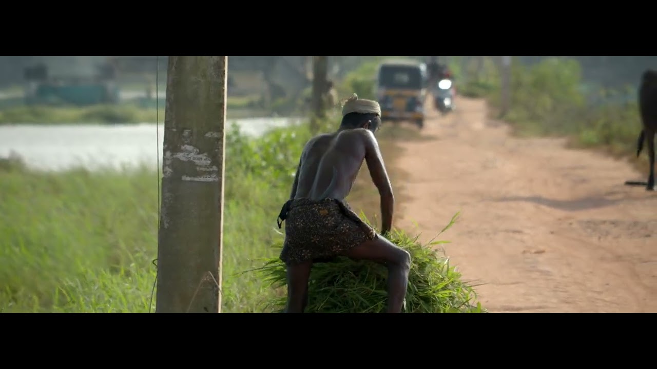 SONY A7 SIII FOOTAGE_ SLOG 3 - YouTube