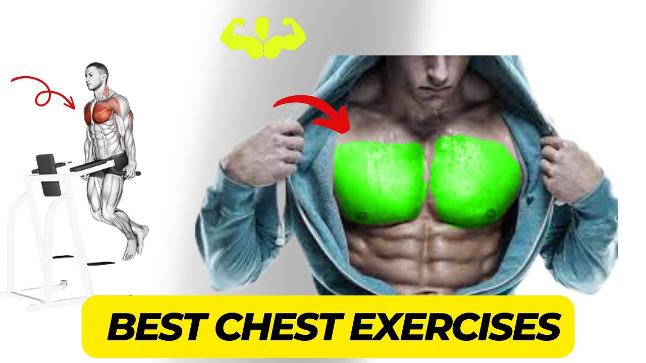 6 Must Do Exercises for Wider Chest - YouTube