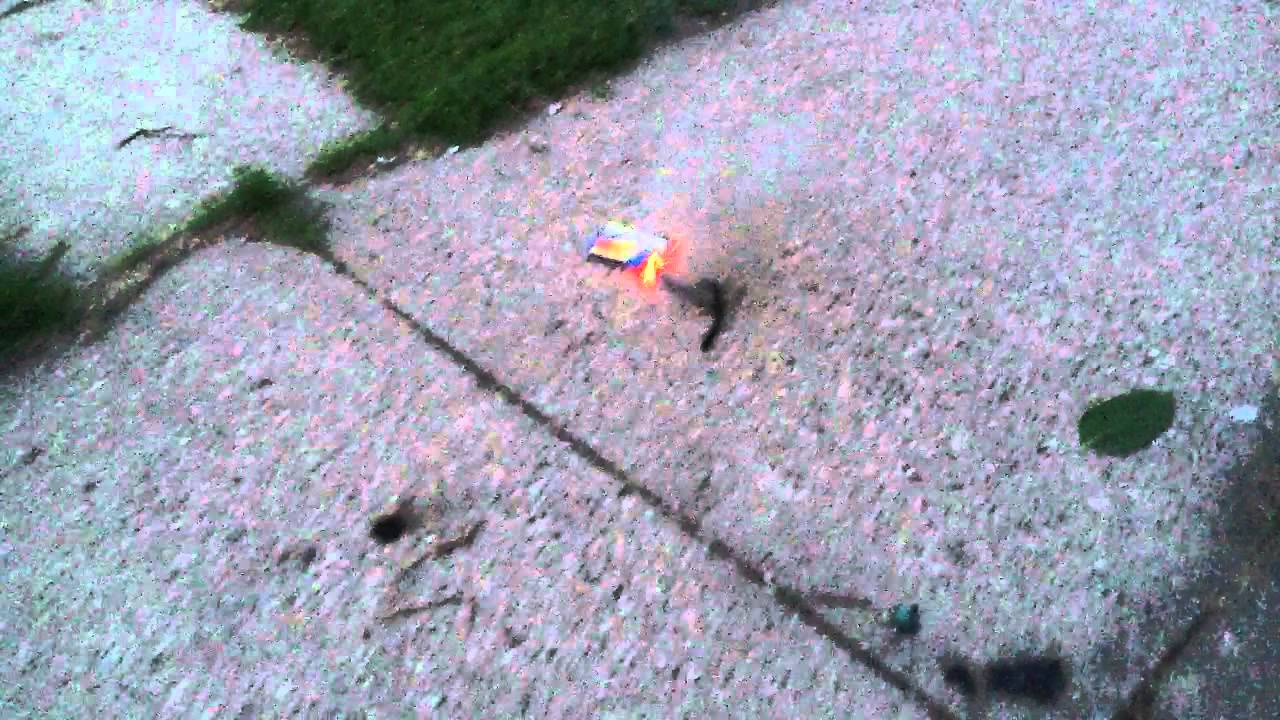 Poopy dog firework - YouTube