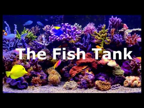 The fish tank: how to crush online poker tournaments - YouTube