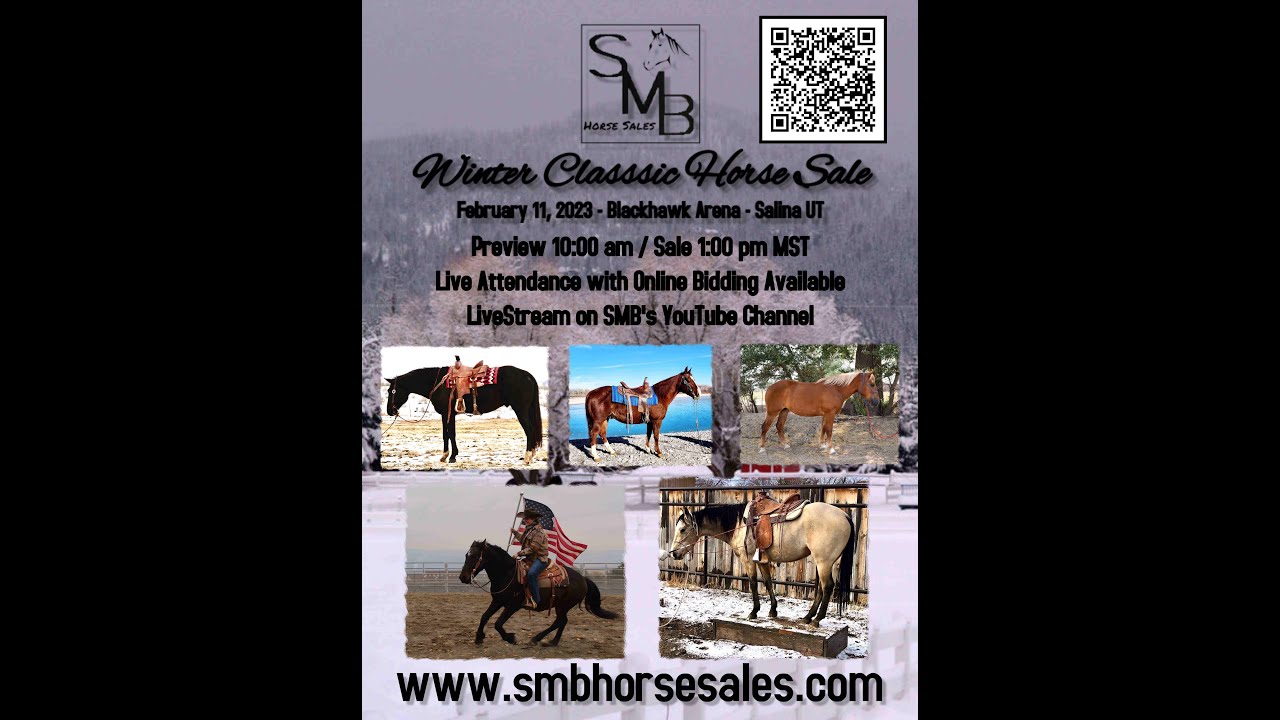 SMB 2023 Winter Classic Horse Sale - YouTube