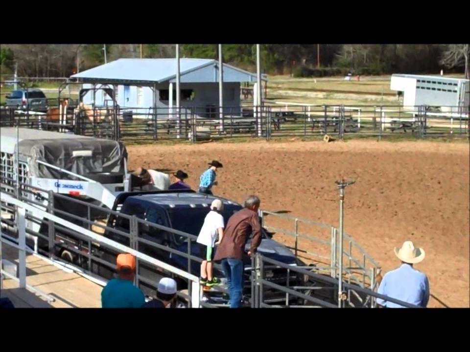 2014 RedBud All-Girls Ranch Rodeo - YouTube