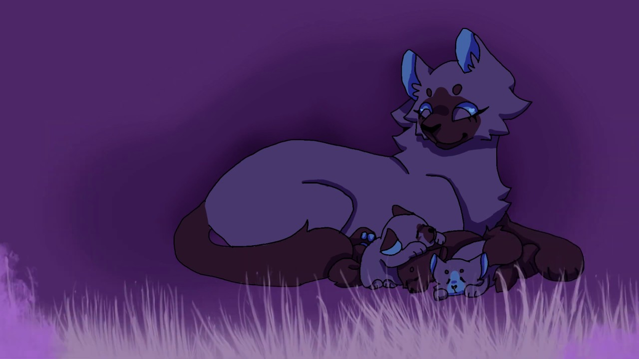 Hawkfrost AU MAP//part 1. - YouTube